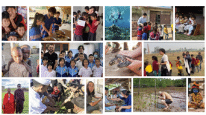 Index Page - Python Academics Tokyo